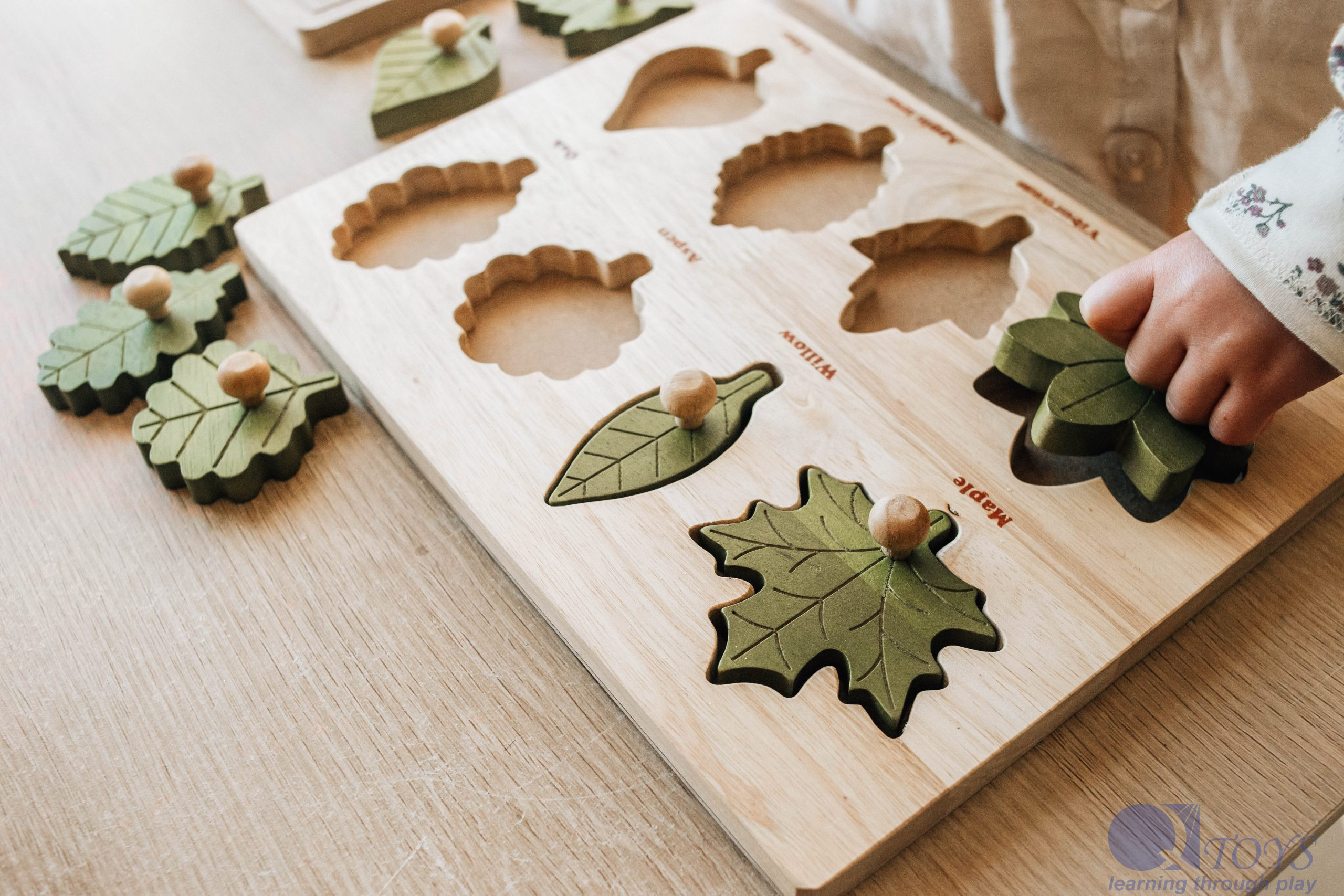 Montessori Leaf Puzzle