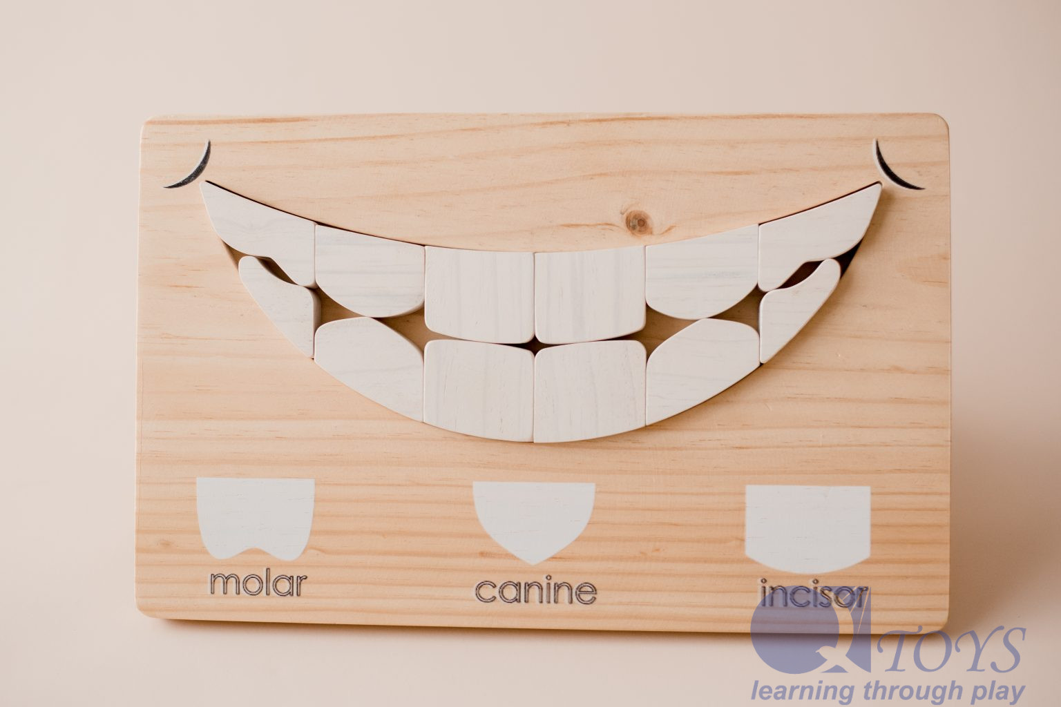 Teeth Puzzle - QToys - Learning through Play