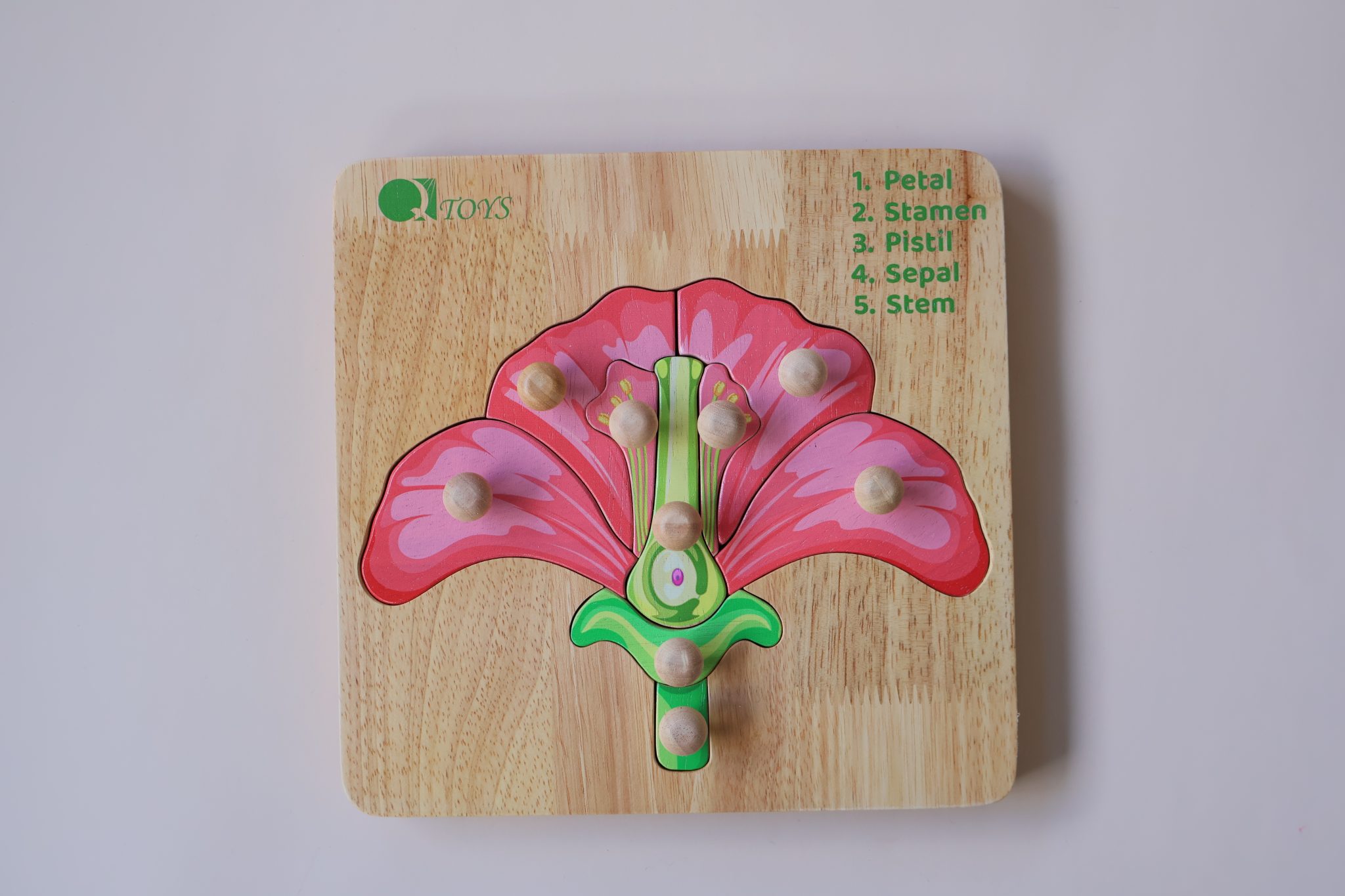 Montessori Plants Bundle